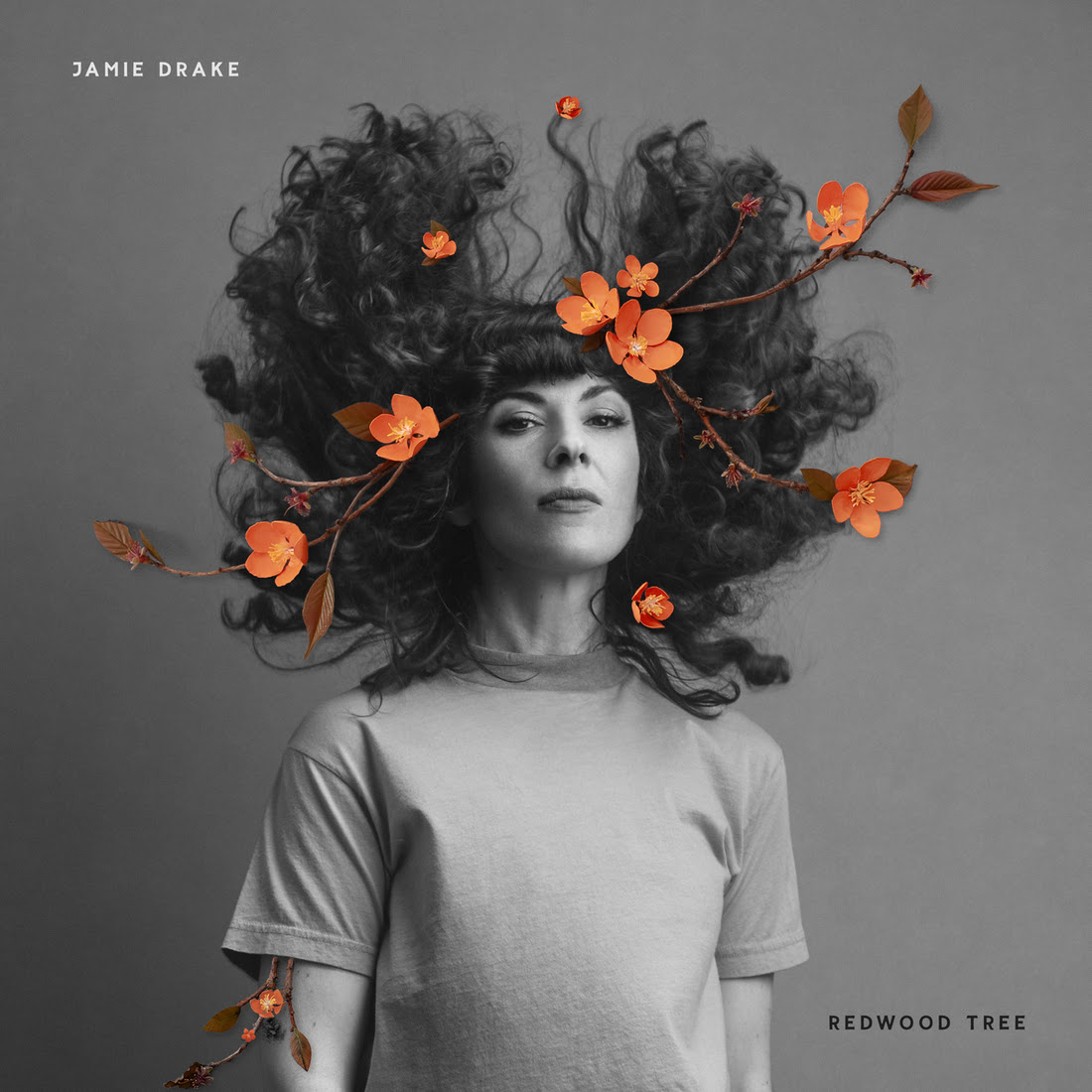 New Music From The Inbox: Jamie Drake, The Tourist Company, Matthew ...