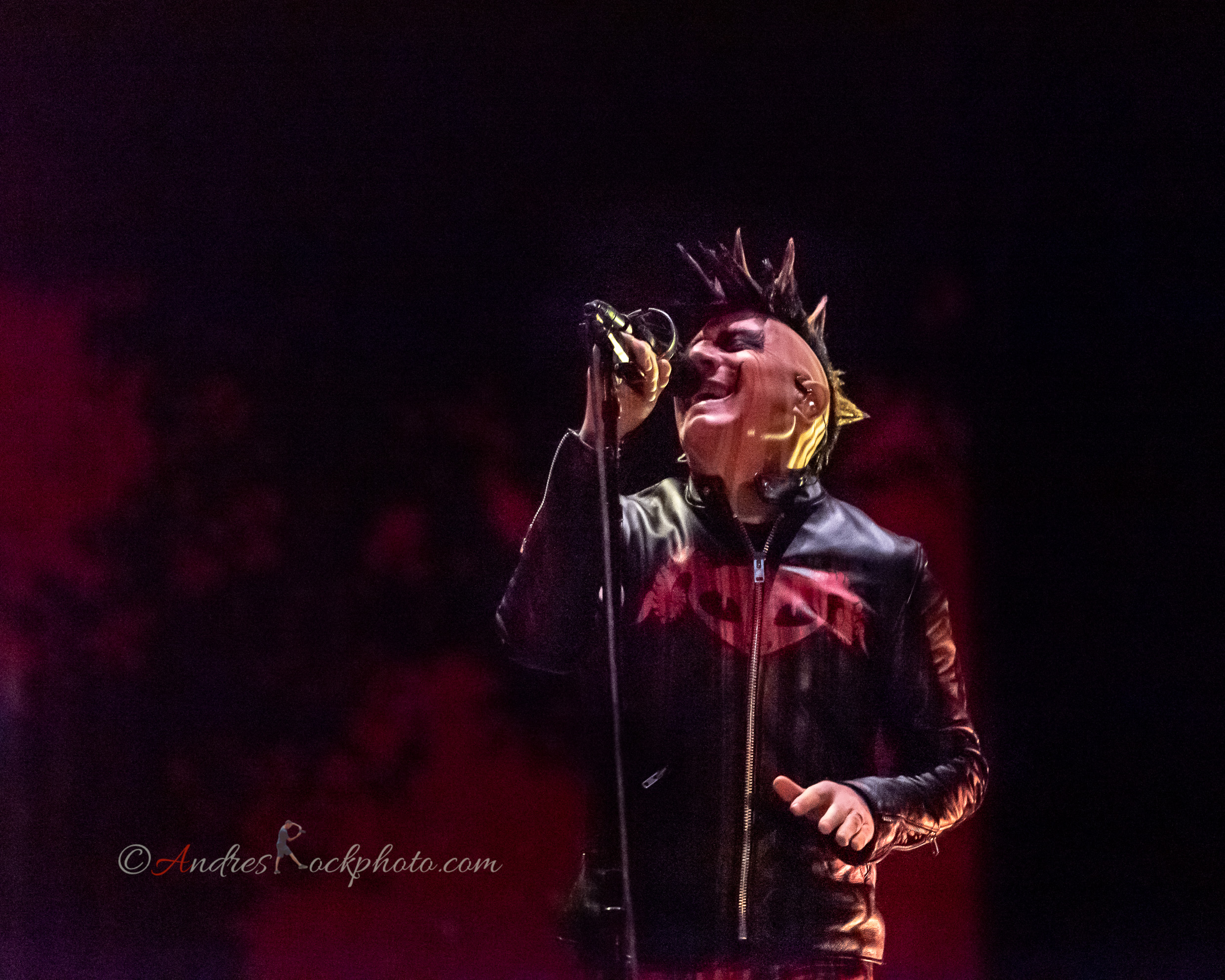 MOST READ: Behold spectacular pictures of Tool at the Scotiabank Arena ...