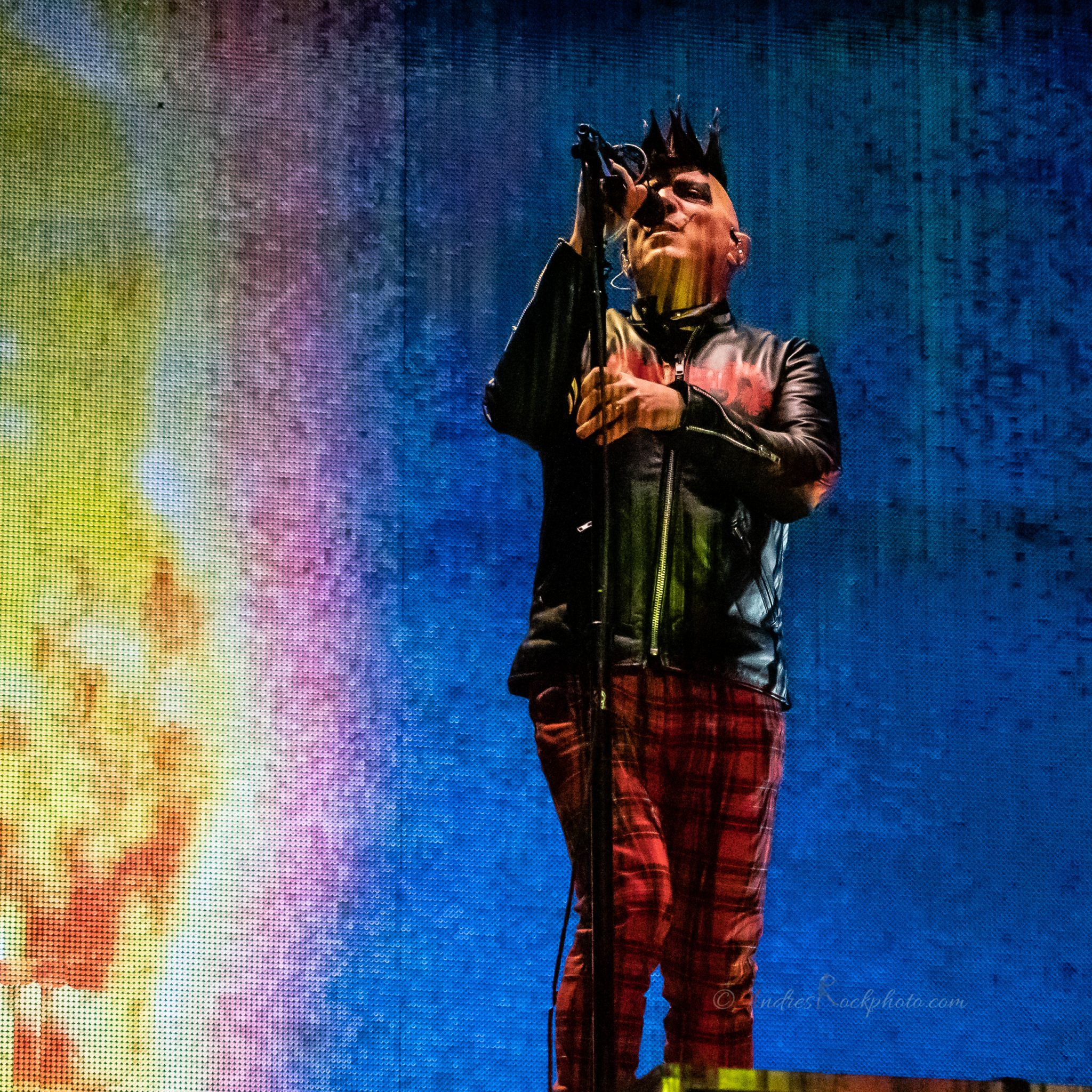 Remember those "fetus in skull" statues from Tool? Maynard James Keenan ...