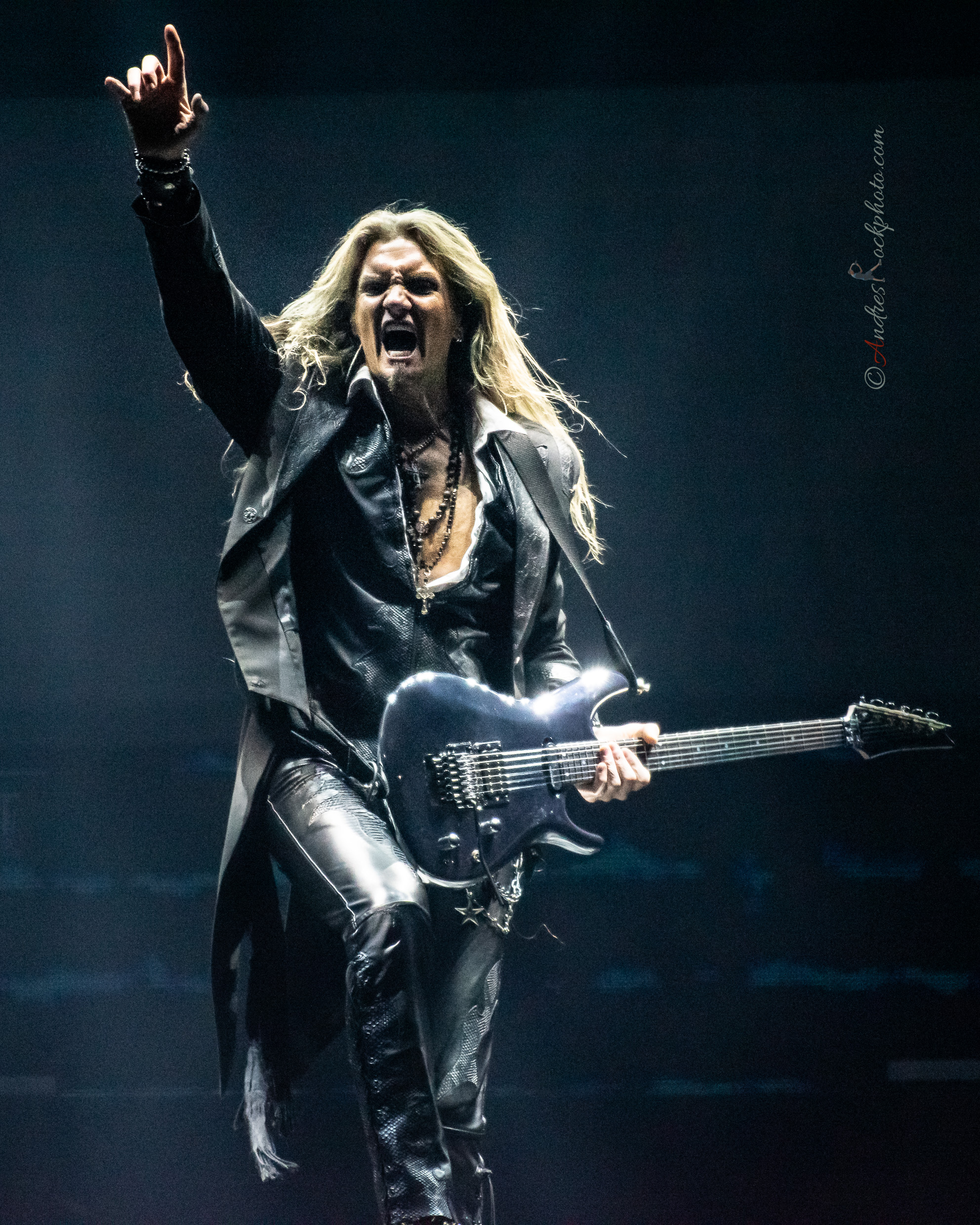 Before we leave the holidays behind, here are some photos of Trans ...