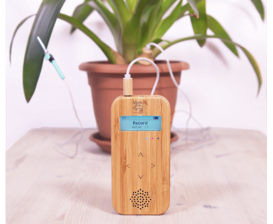 Who knew that plants make music? Here's a device that allows you to ...