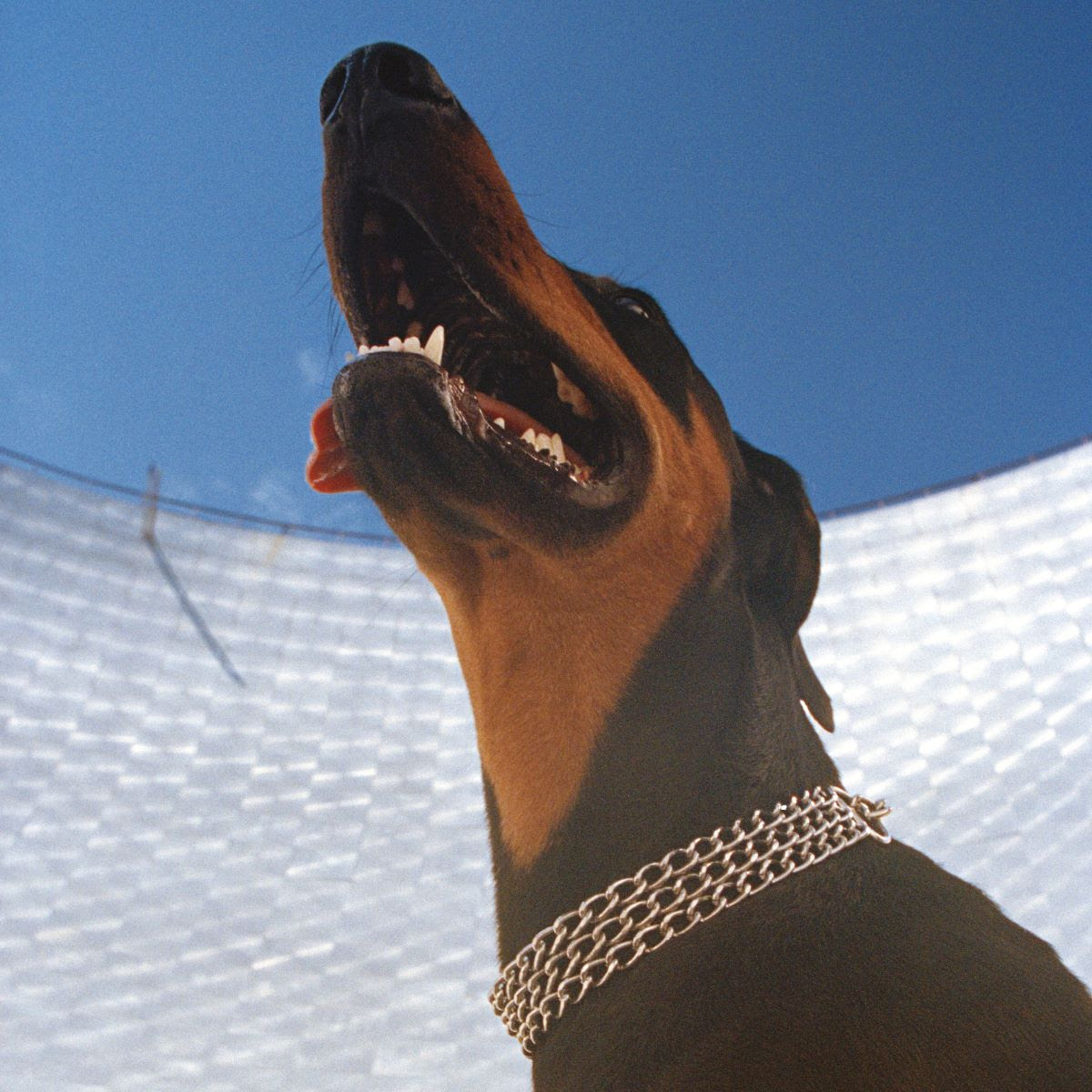 New Music from the Inbox: Remi Wolf, Christine and the Queens, Janelle ...