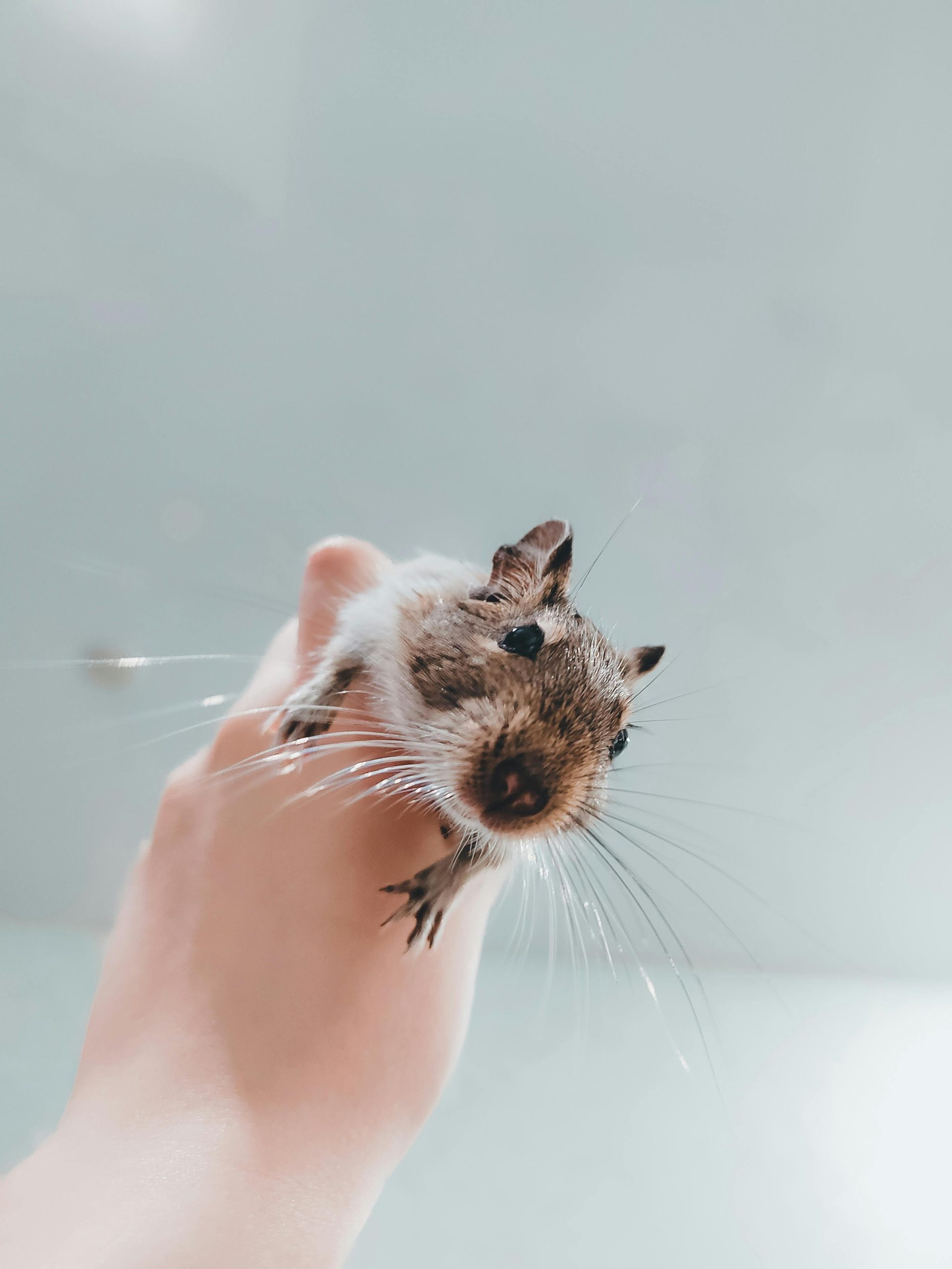 This may be the funniest thing ever heard on the radio. | Alan Cross