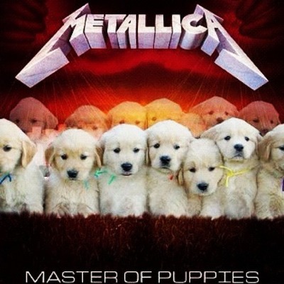 Master of Puppies | Alan Cross
